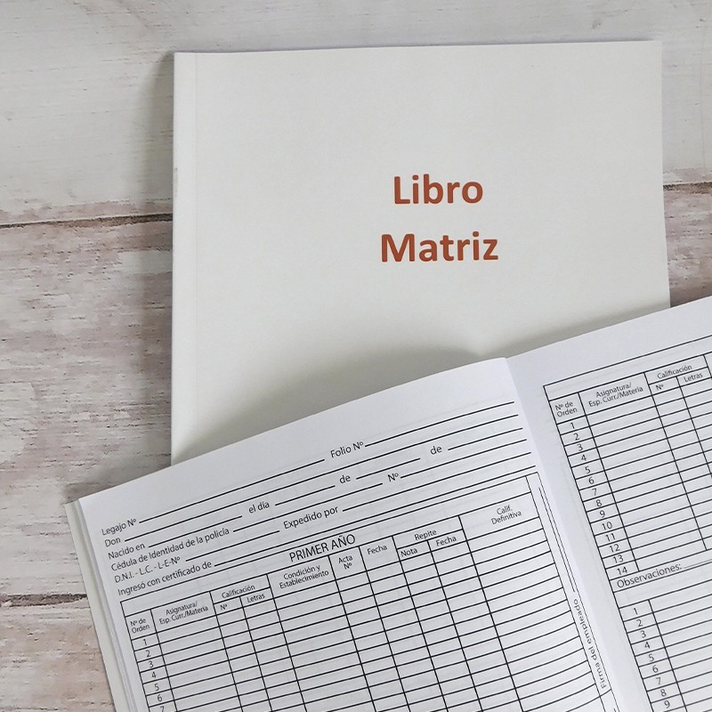 LIBRO MATRIZ
