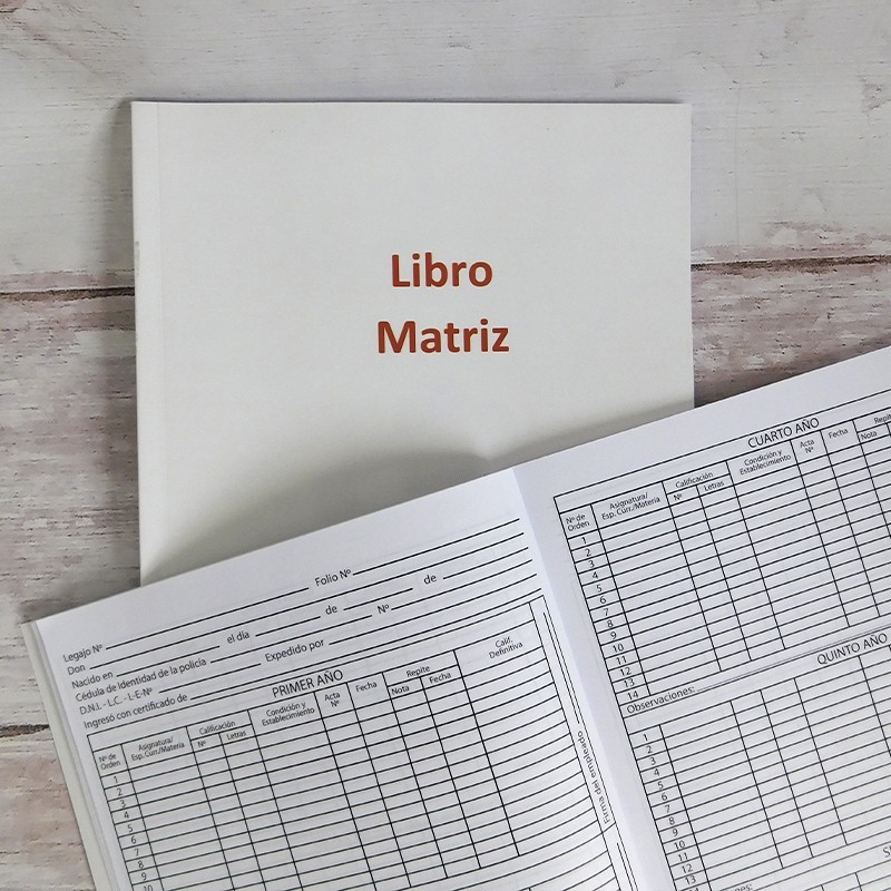 LIBRO MATRIZ