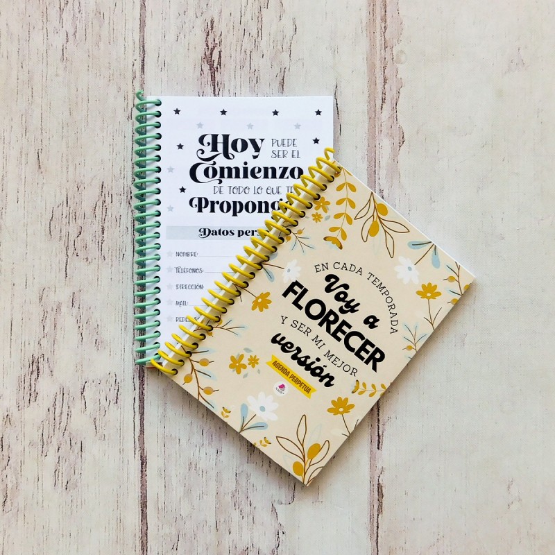 AGENDA PERPETUA A6 FRASES B&N Conv.