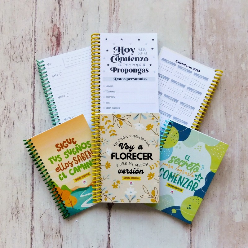 AGENDA PERPETUA A6 FRASES B&N Conv.