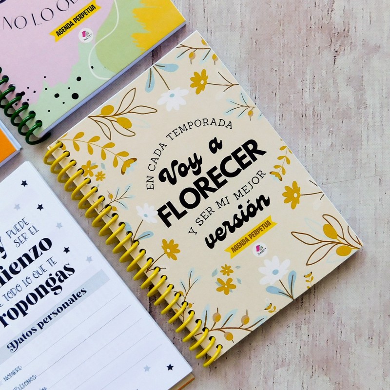 AGENDA PERPETUA A6 FRASES B&N Conv.