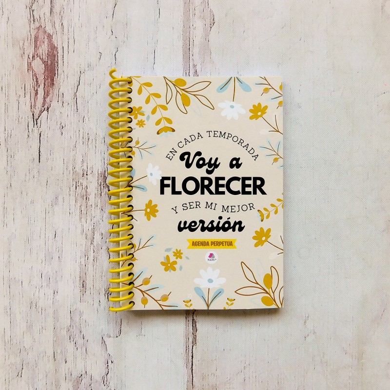 AGENDA PERPETUA A6 FRASES B&N Conv.